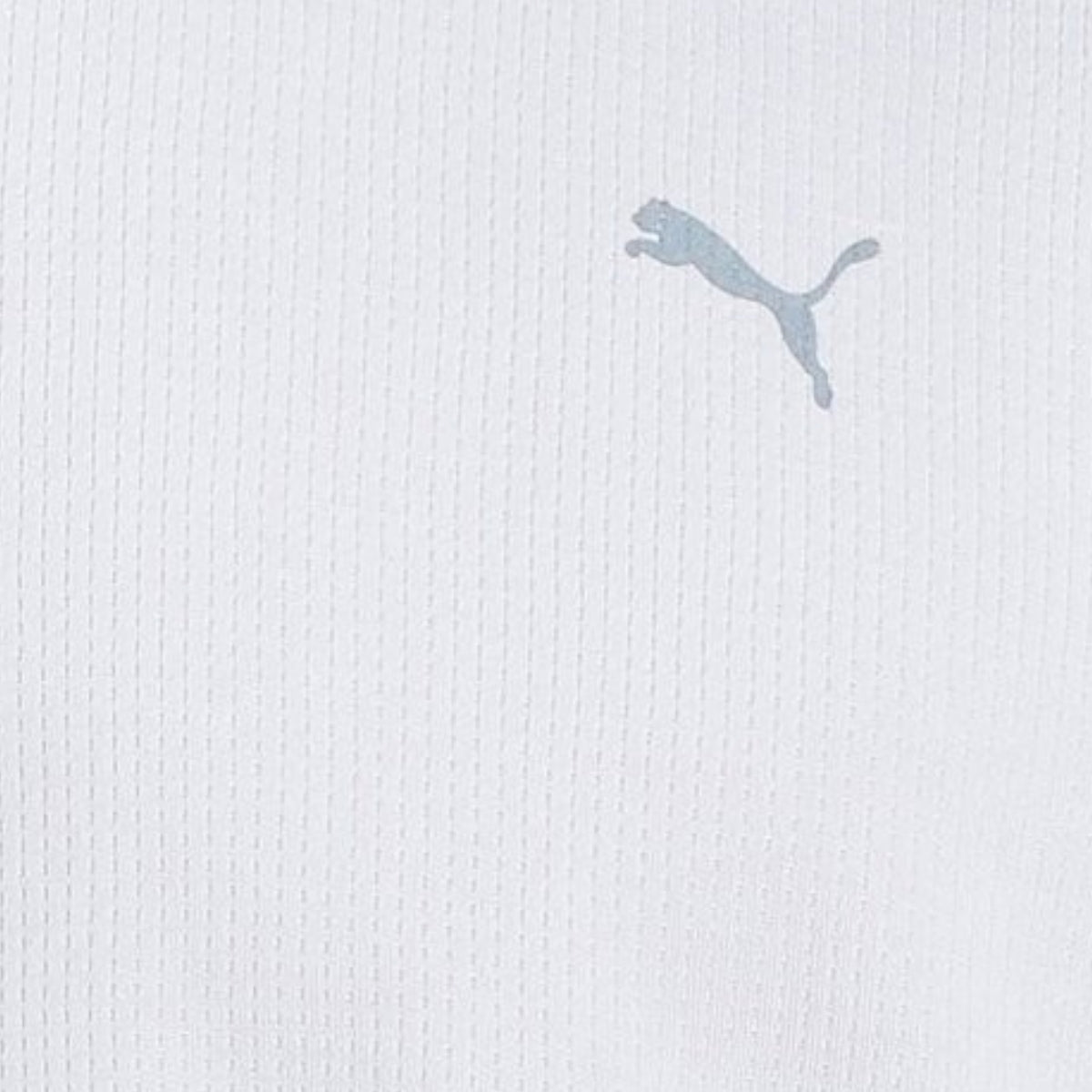 Playera Puma Performance Hombre 520314 02 – Orange Sport MX